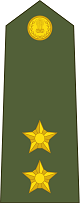 Indian Army Ranks हिंदी में - Top to Bottom थलसेना रैंक